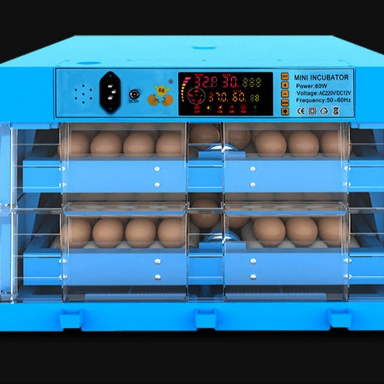 The best incubators for hatching chicks - Ecochicks 0727087285