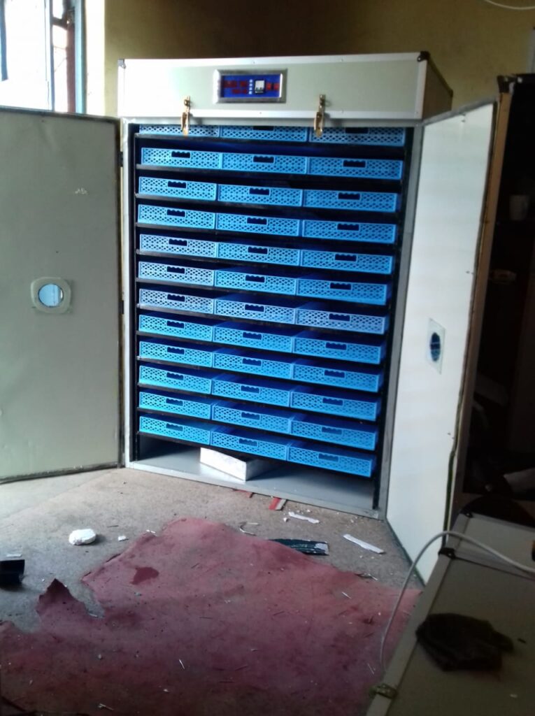 Best large sized chicken egg incubator - Ecochicks Poultry Limited