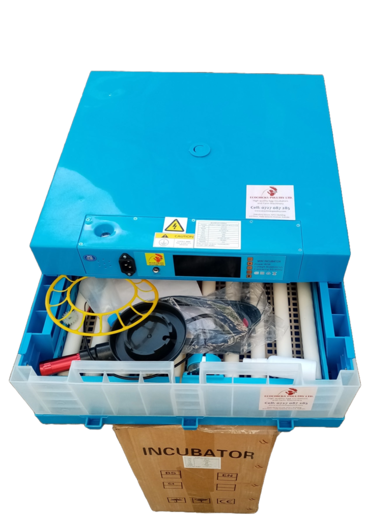 ECO 64-Egg Fully Automatic Solar Incubator with AC/DC Power - Ecochicks ...